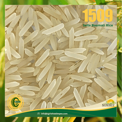 1509 Sella Basmati Rice - Agriculture Wheel Impex Internatinal PVT LTD